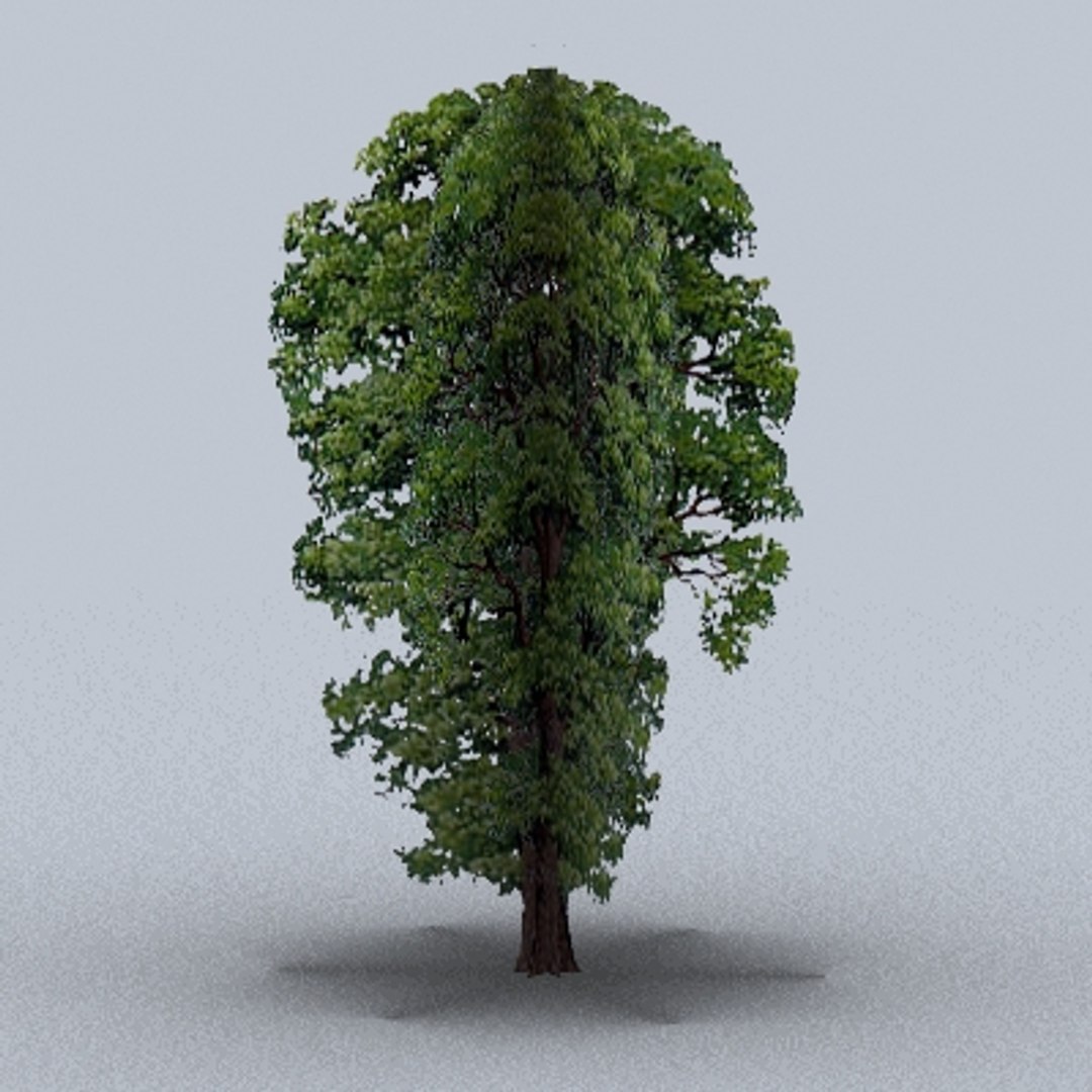 Large Trees 3d Model