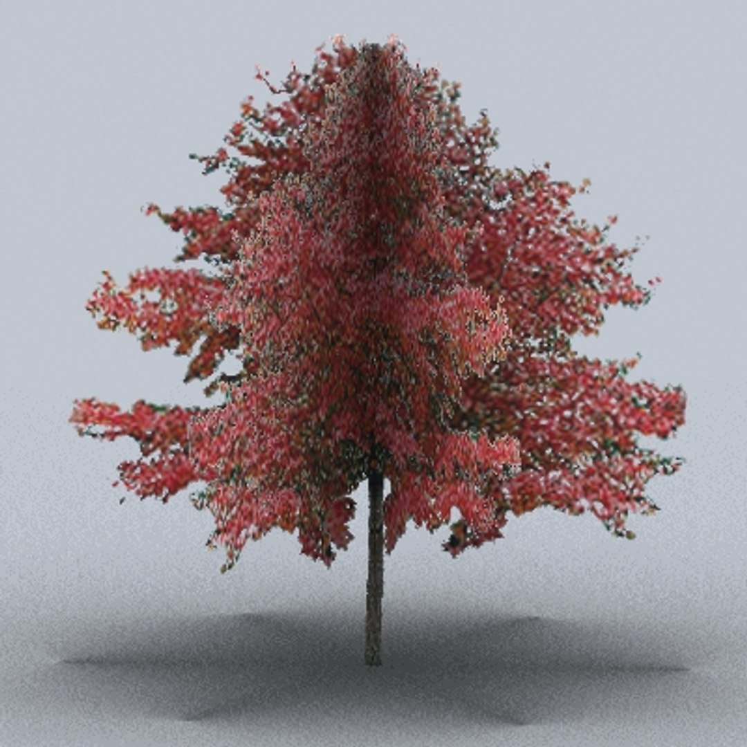 Large Trees 3d Model
