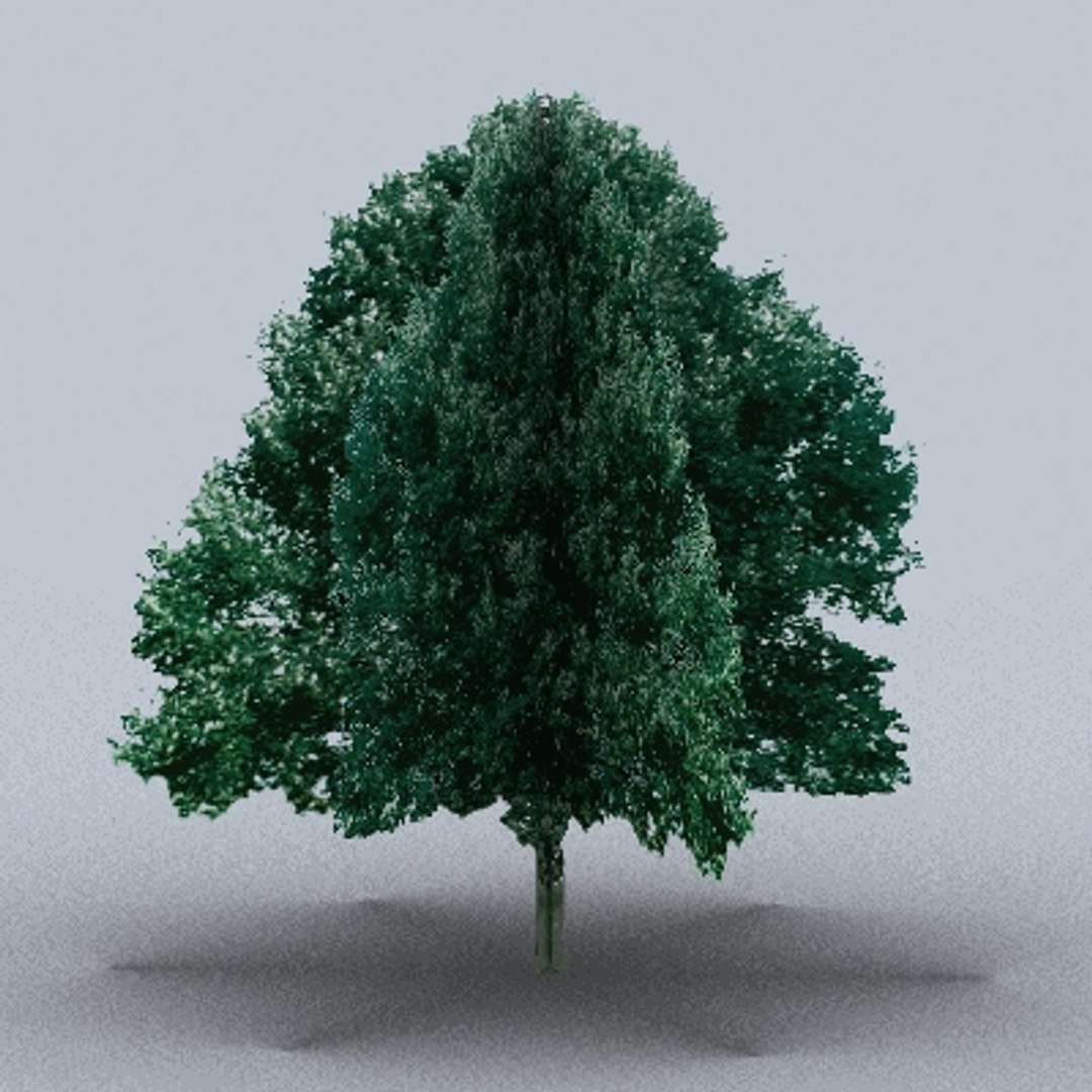 Large Trees 3d Model