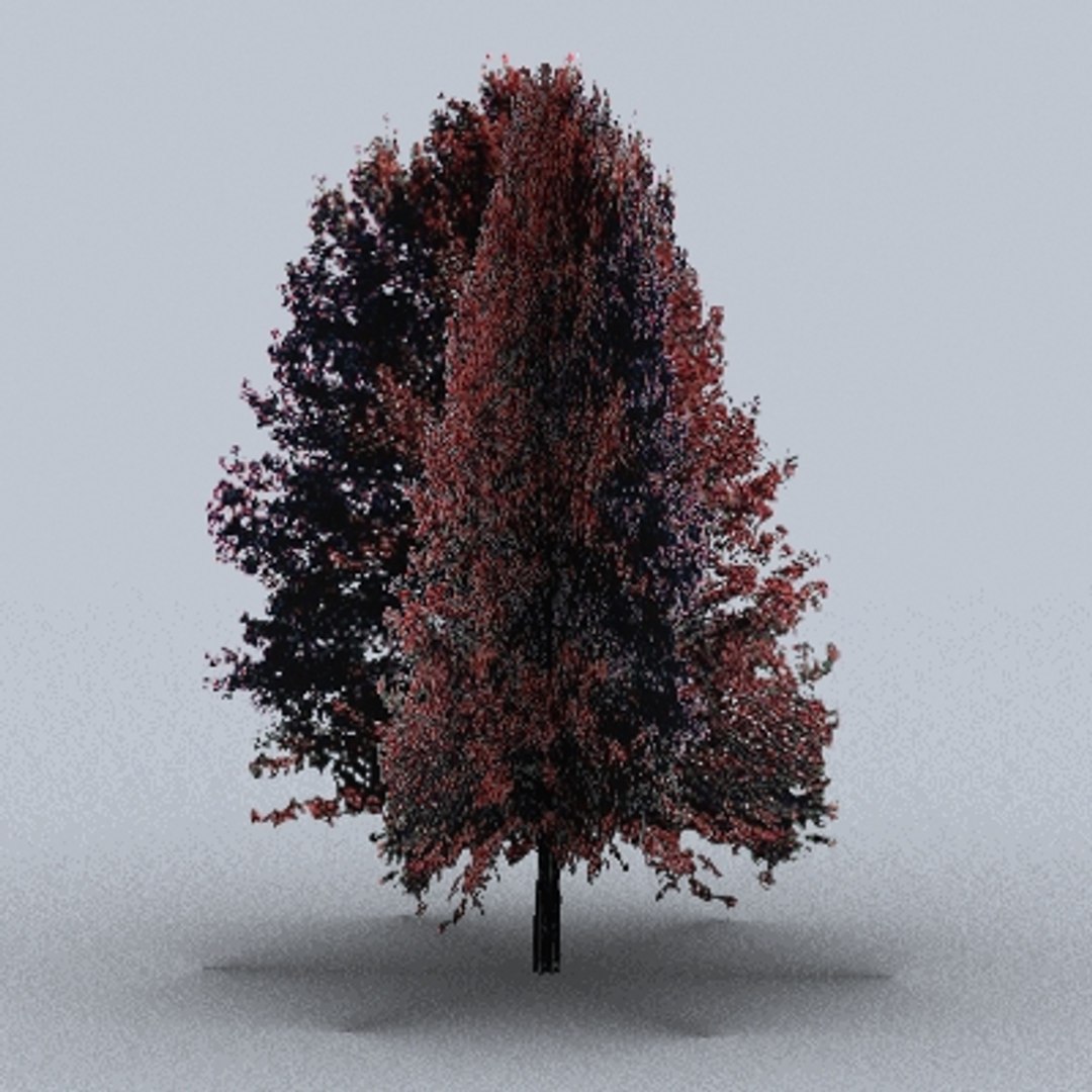 Large Trees 3d Model