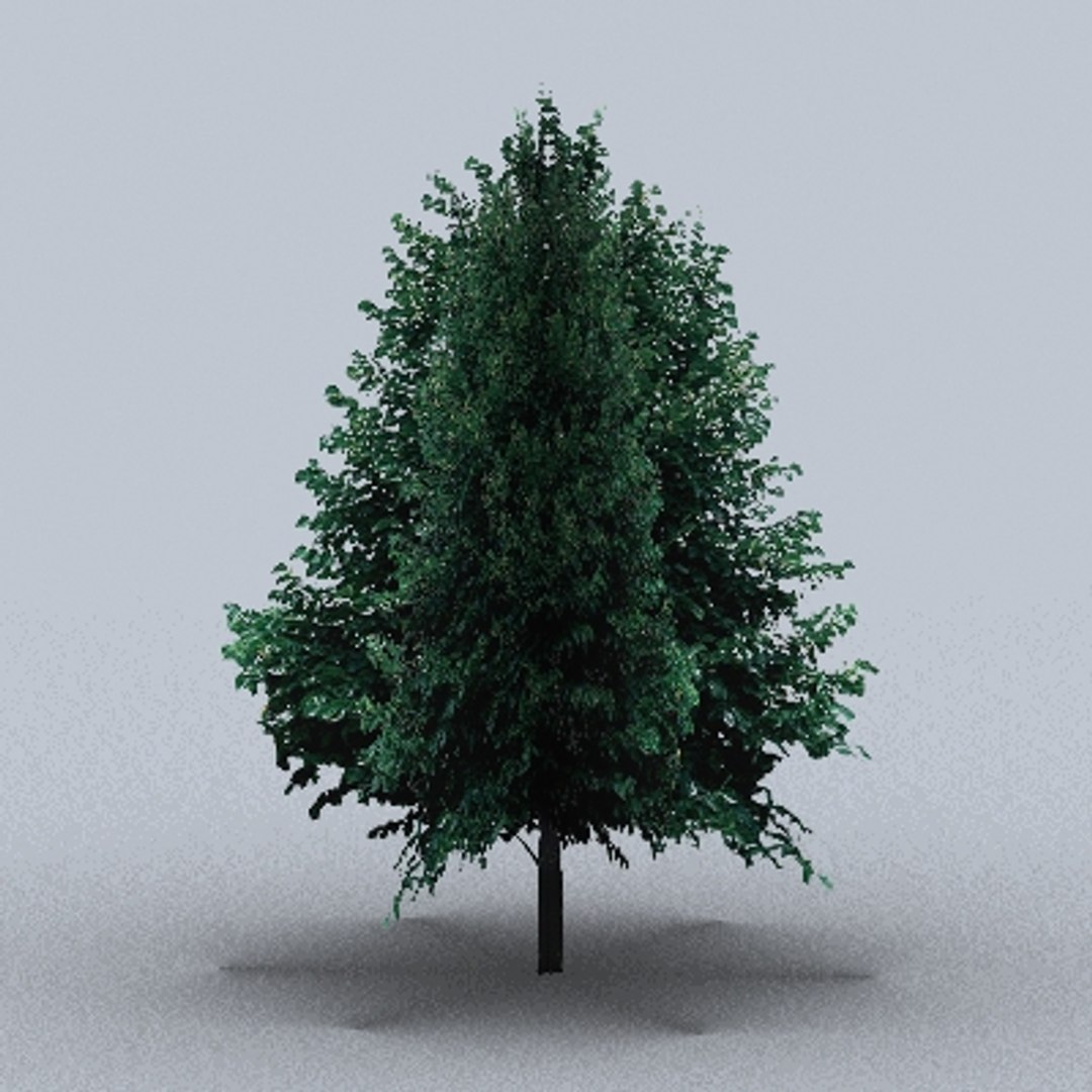 Large Trees 3d Model