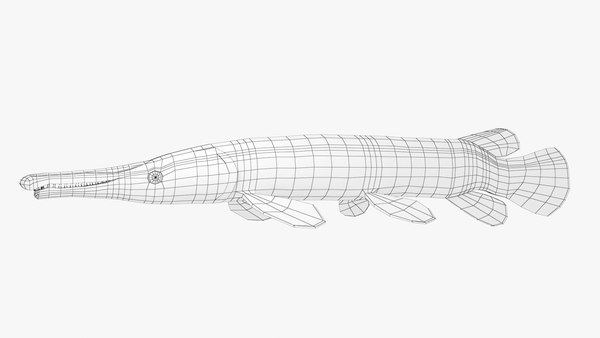 3D Alligator Gar model - TurboSquid 1846159