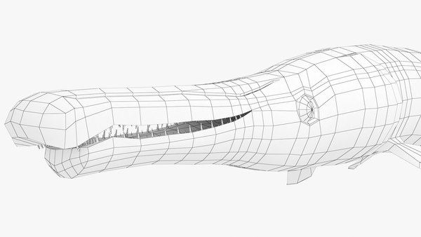 3D Alligator Gar model - TurboSquid 1846159