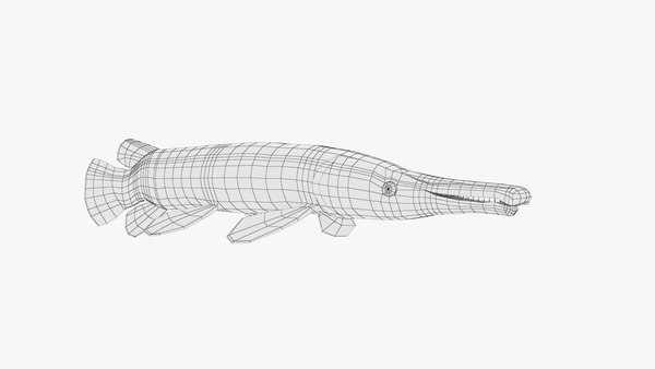 3D Alligator Gar model - TurboSquid 1846159