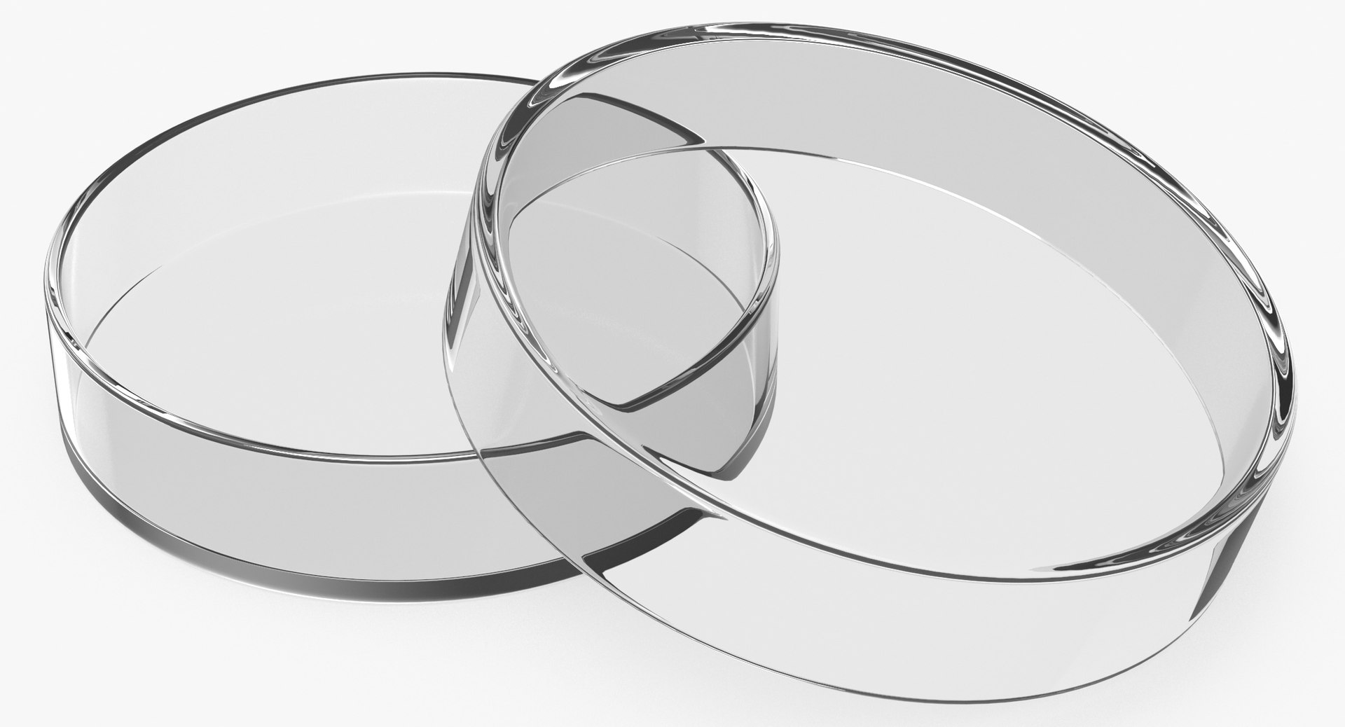 Petri Dish Medium Model - TurboSquid 2002706