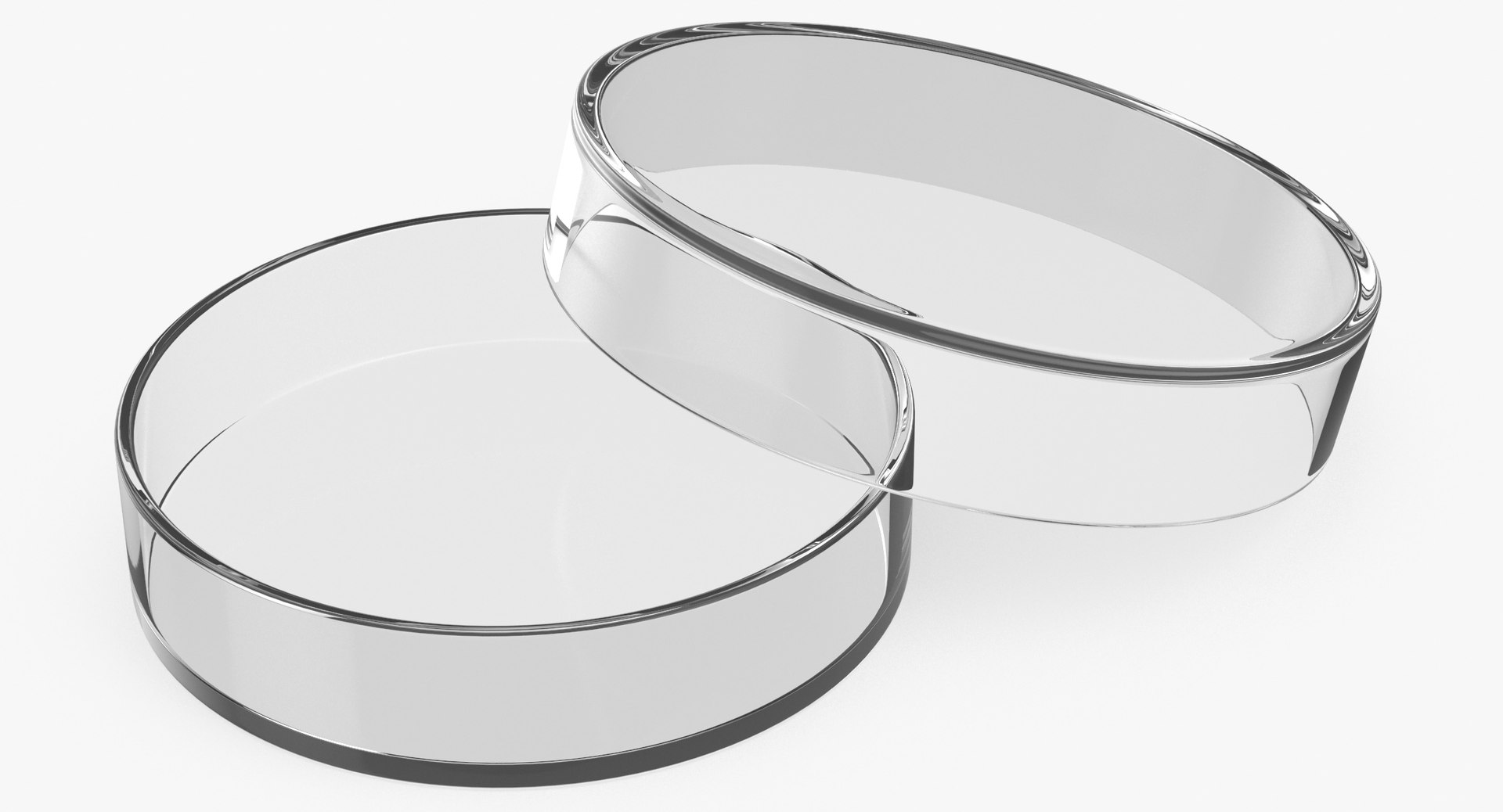 Petri Dish Medium Model - TurboSquid 2002706