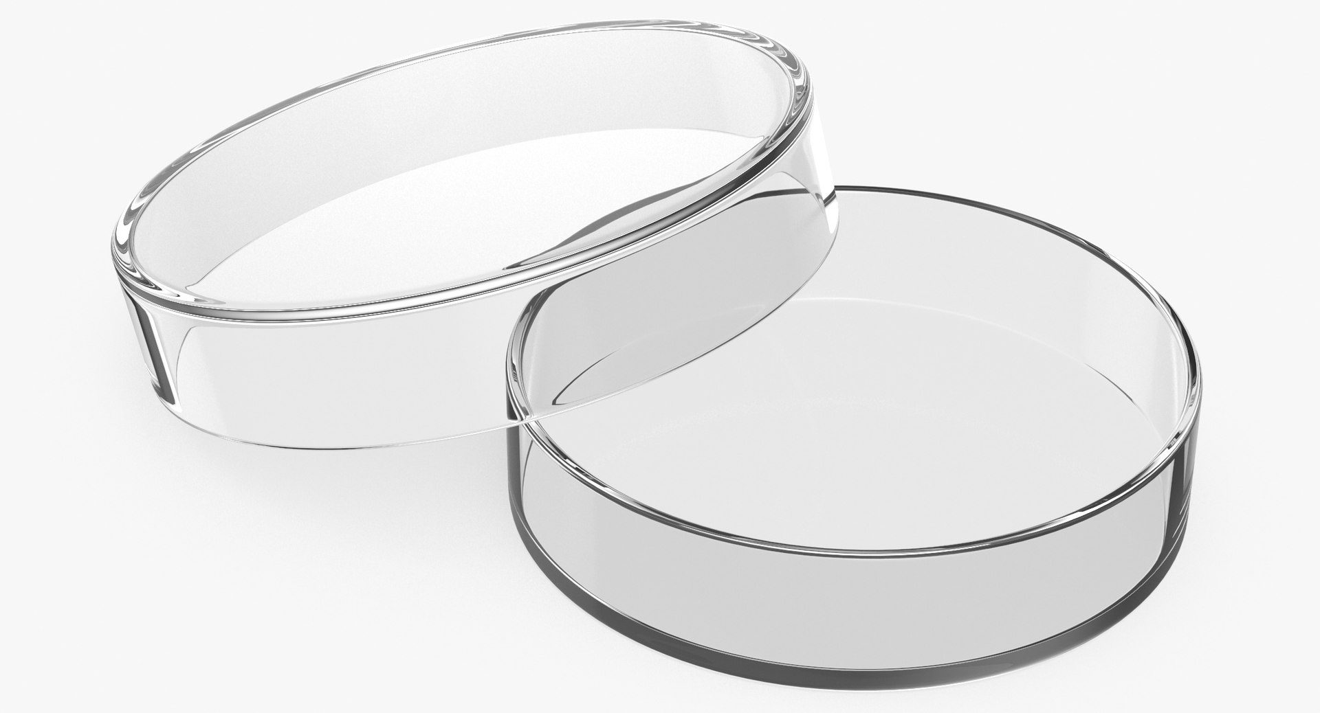 Petri Dish Medium Model - TurboSquid 2002706