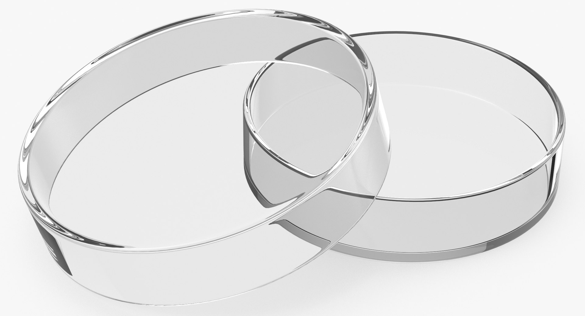 Petri Dish Medium Model - TurboSquid 2002706