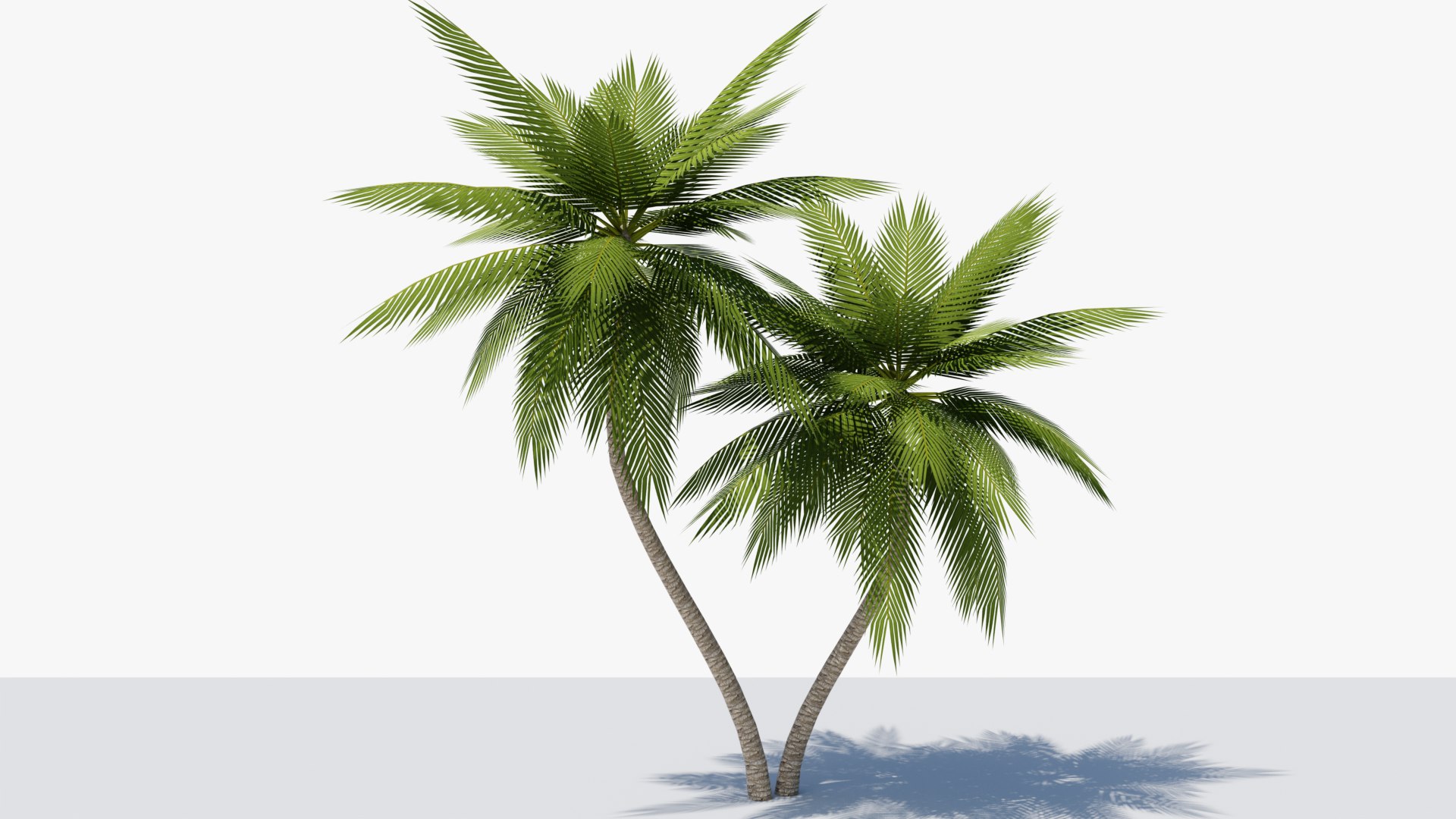 3D Lowpoly Date Palms Collection - TurboSquid 2069984