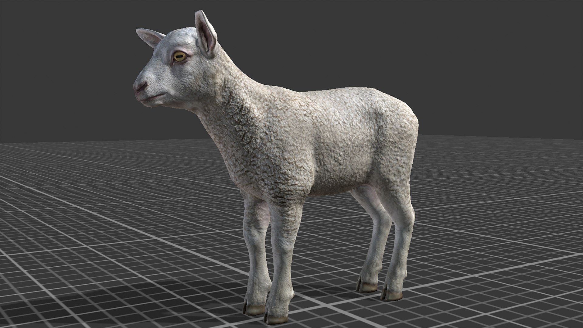 Lamb 3D - TurboSquid 1938294