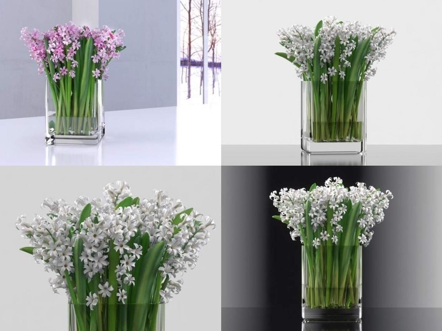 Hyacinth Smallaccents Model - TurboSquid 1176490