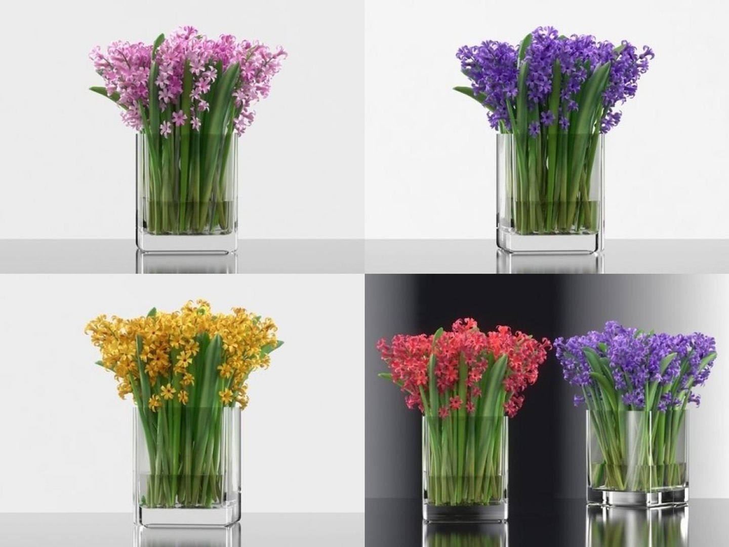 Hyacinth Smallaccents Model - TurboSquid 1176490