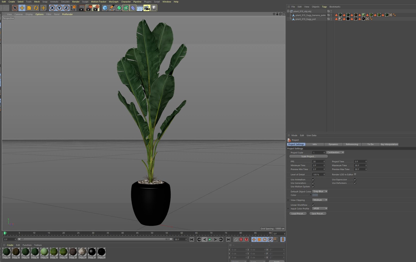 Plants collection 819 3D model - TurboSquid 1963734