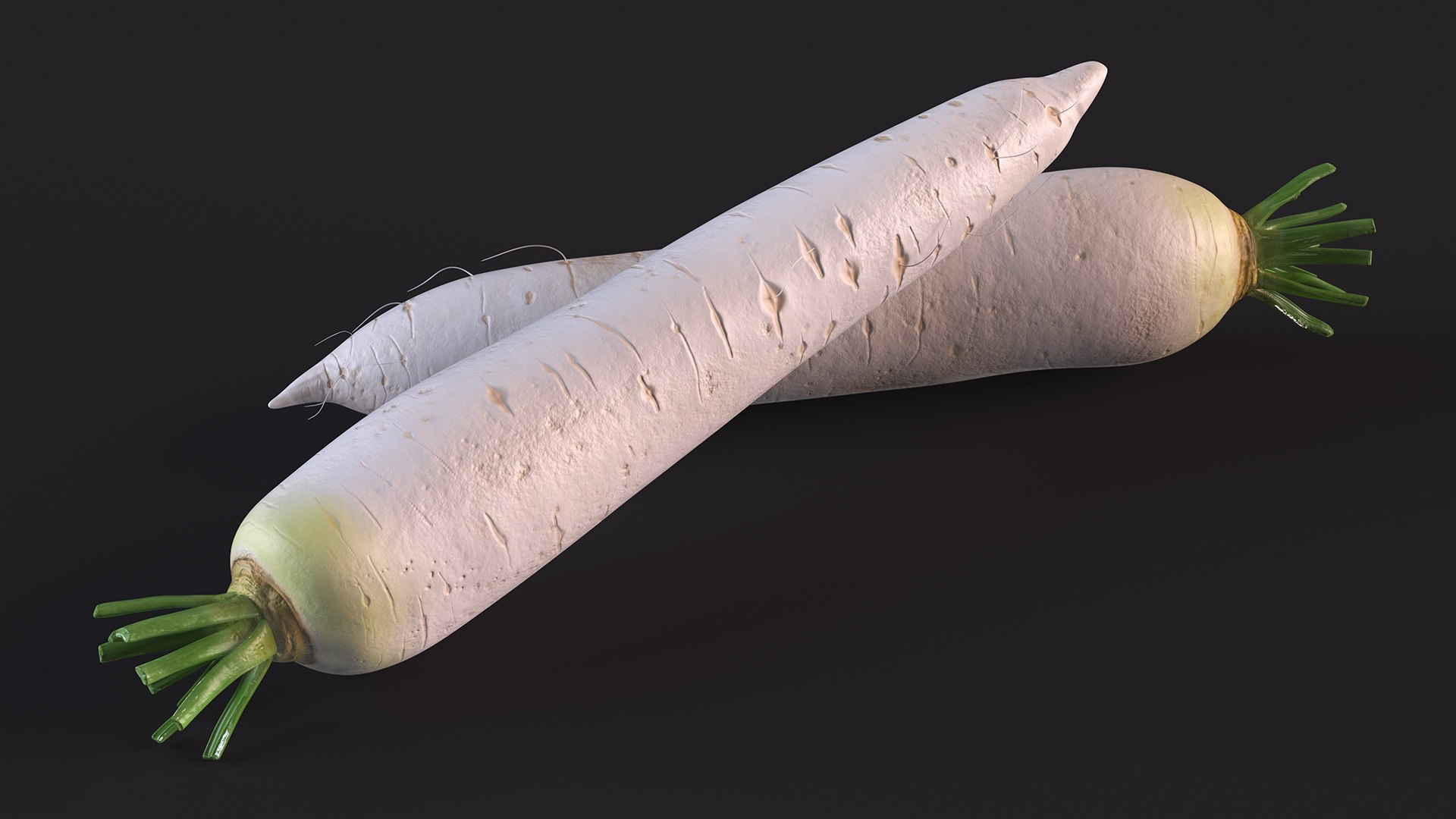 3D Daikon Long White Radish - TurboSquid 2086628