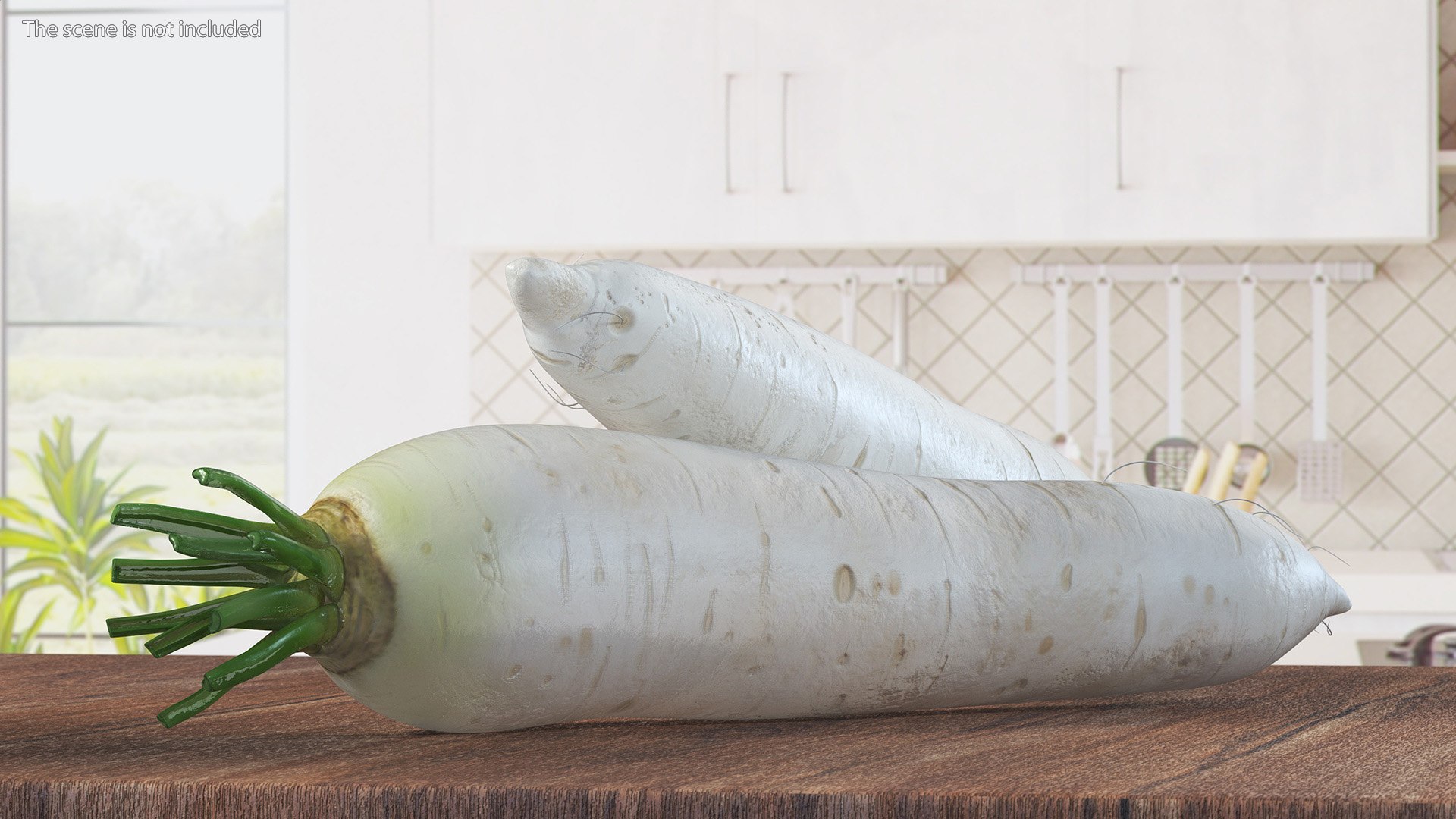 3D Daikon Long White Radish - TurboSquid 2086628