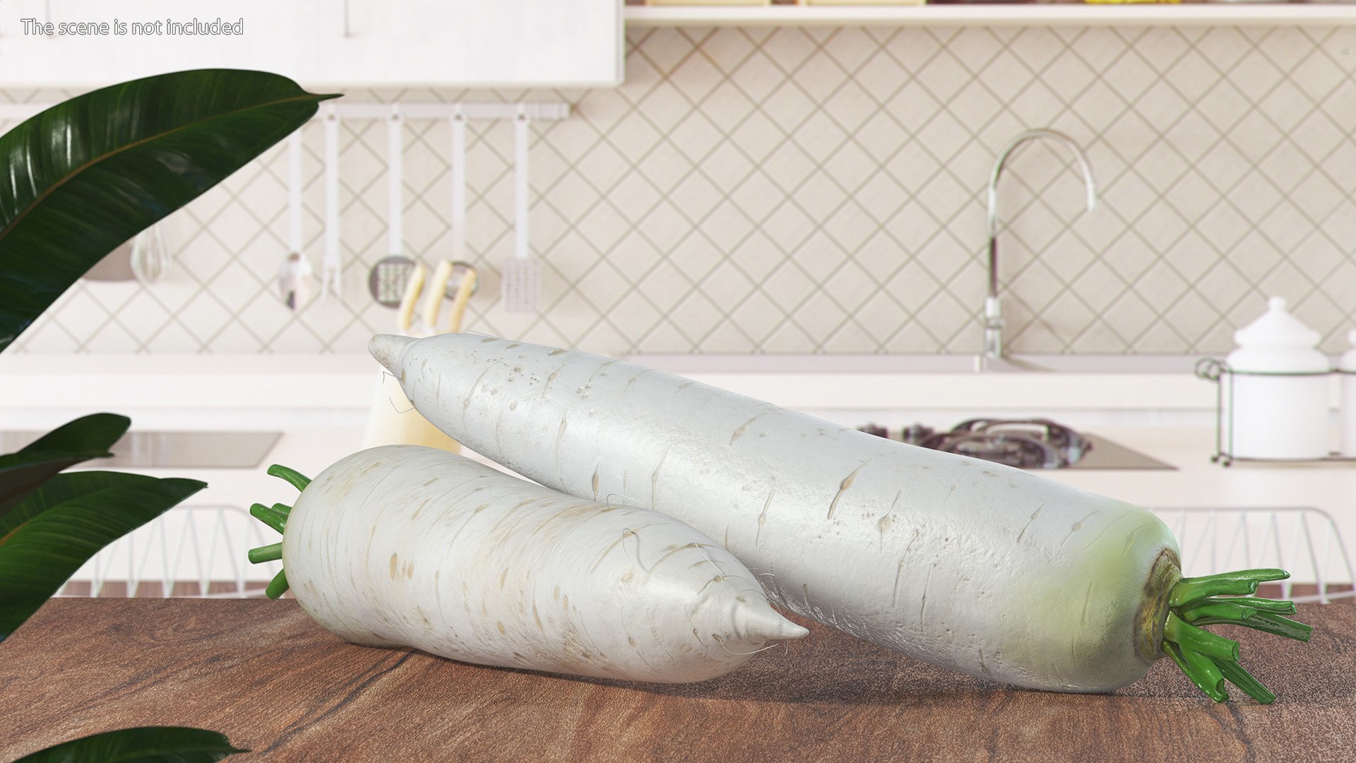 3D Daikon Long White Radish - TurboSquid 2086628