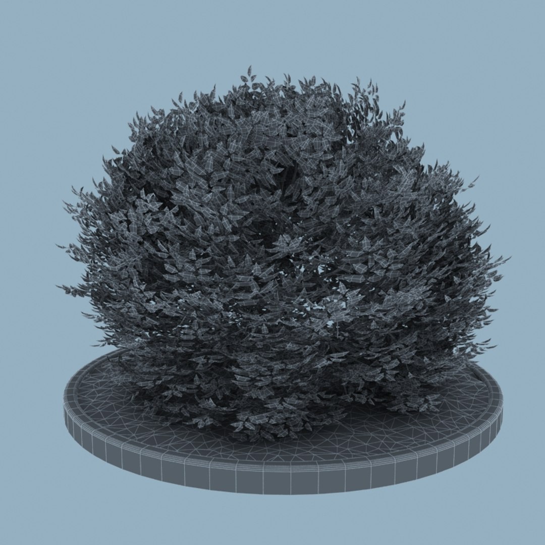 3d Model Decoration Shrub