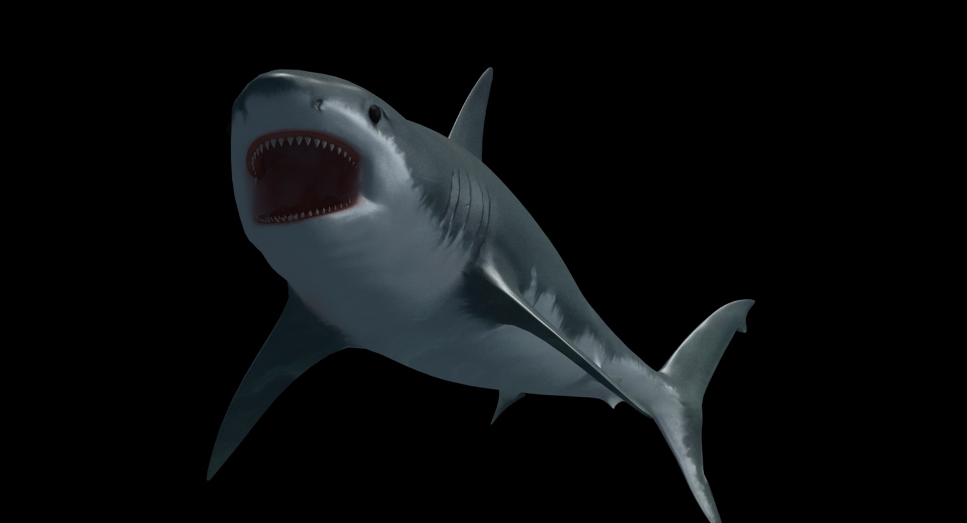3D Low-poly Real-time Apps - TurboSquid 1314264