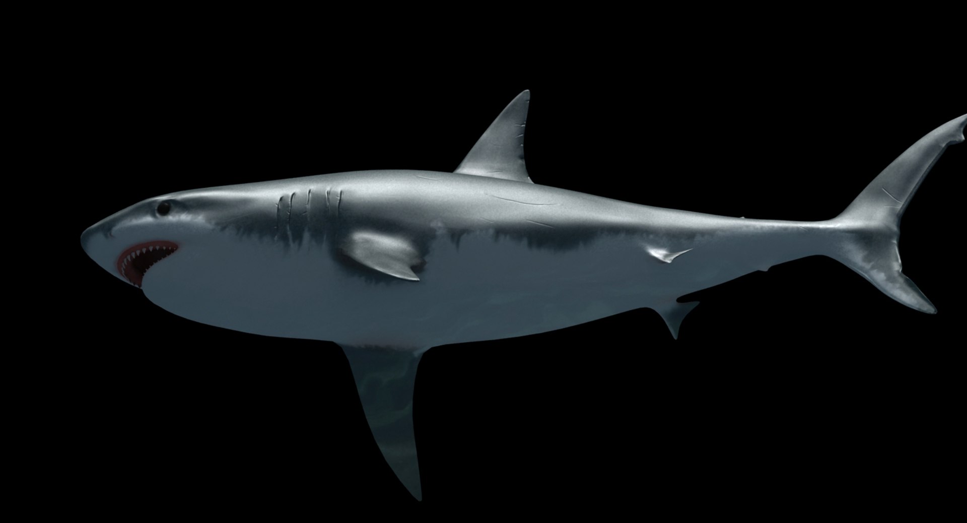 3D Low-poly Real-time Apps - TurboSquid 1314264