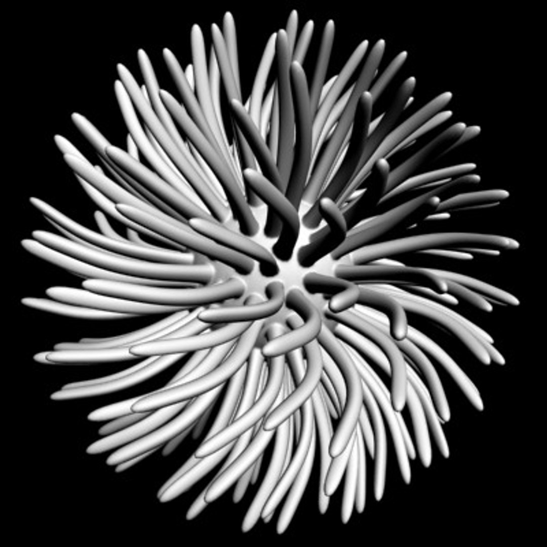 Microscopic Cells 3d Model