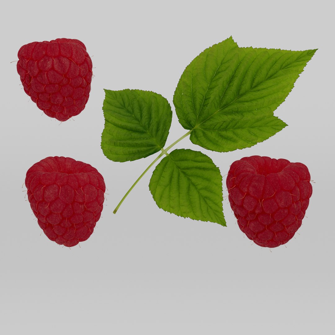 Raspberries - 3 Variations 3D Model - TurboSquid 2244990
