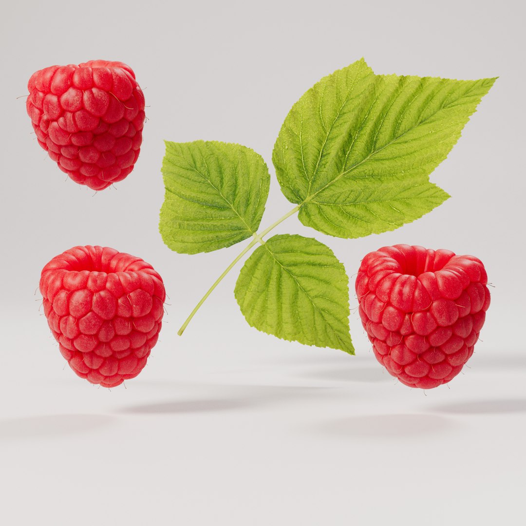 Raspberries - 3 Variations 3D Model - TurboSquid 2244990