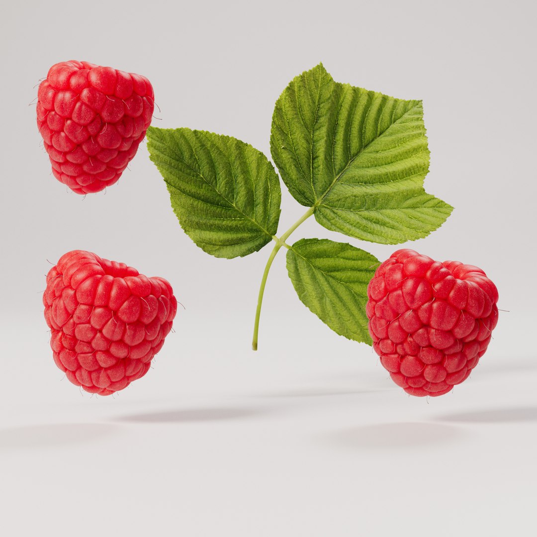Raspberries - 3 Variations 3D Model - TurboSquid 2244990