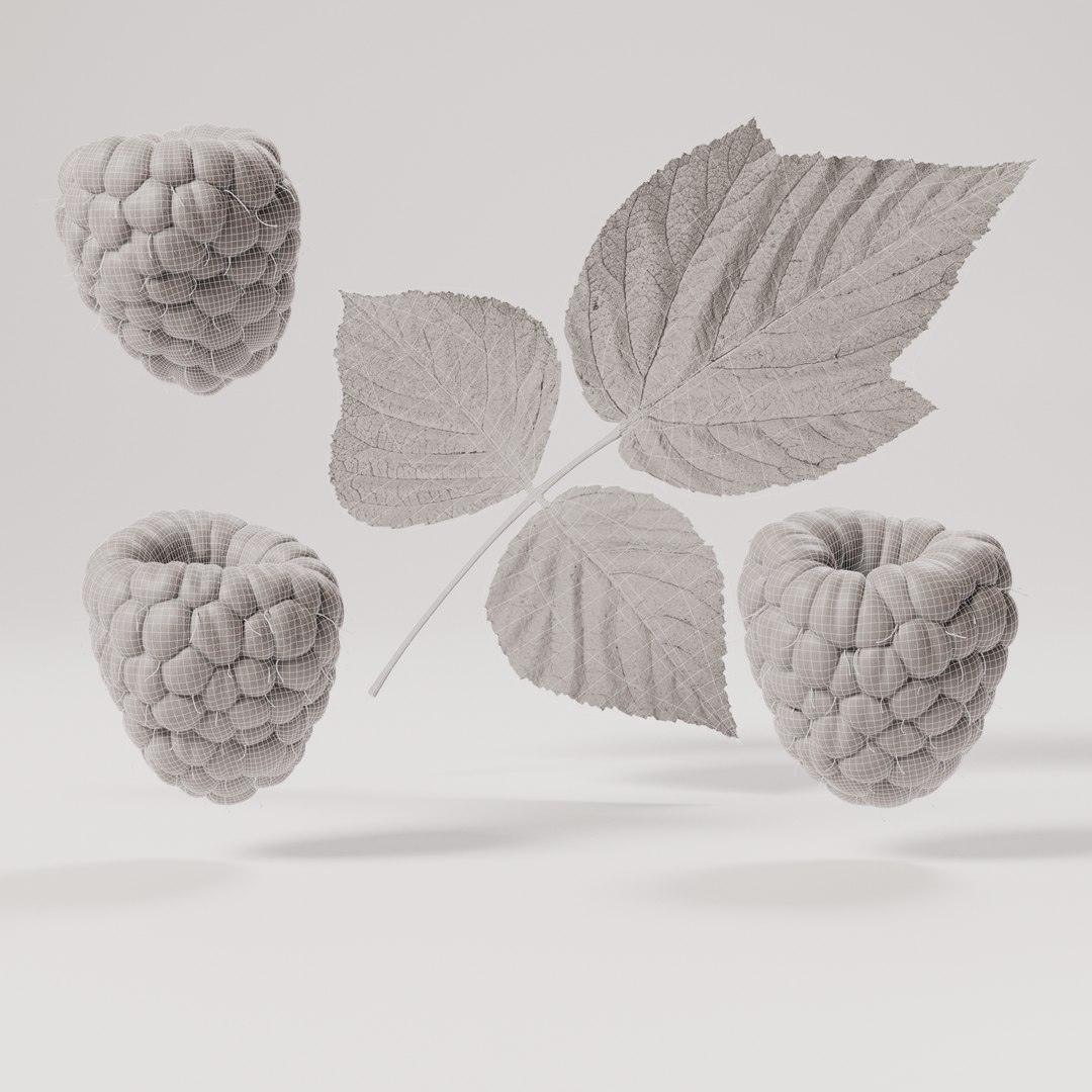 Raspberries - 3 Variations 3D Model - TurboSquid 2244990