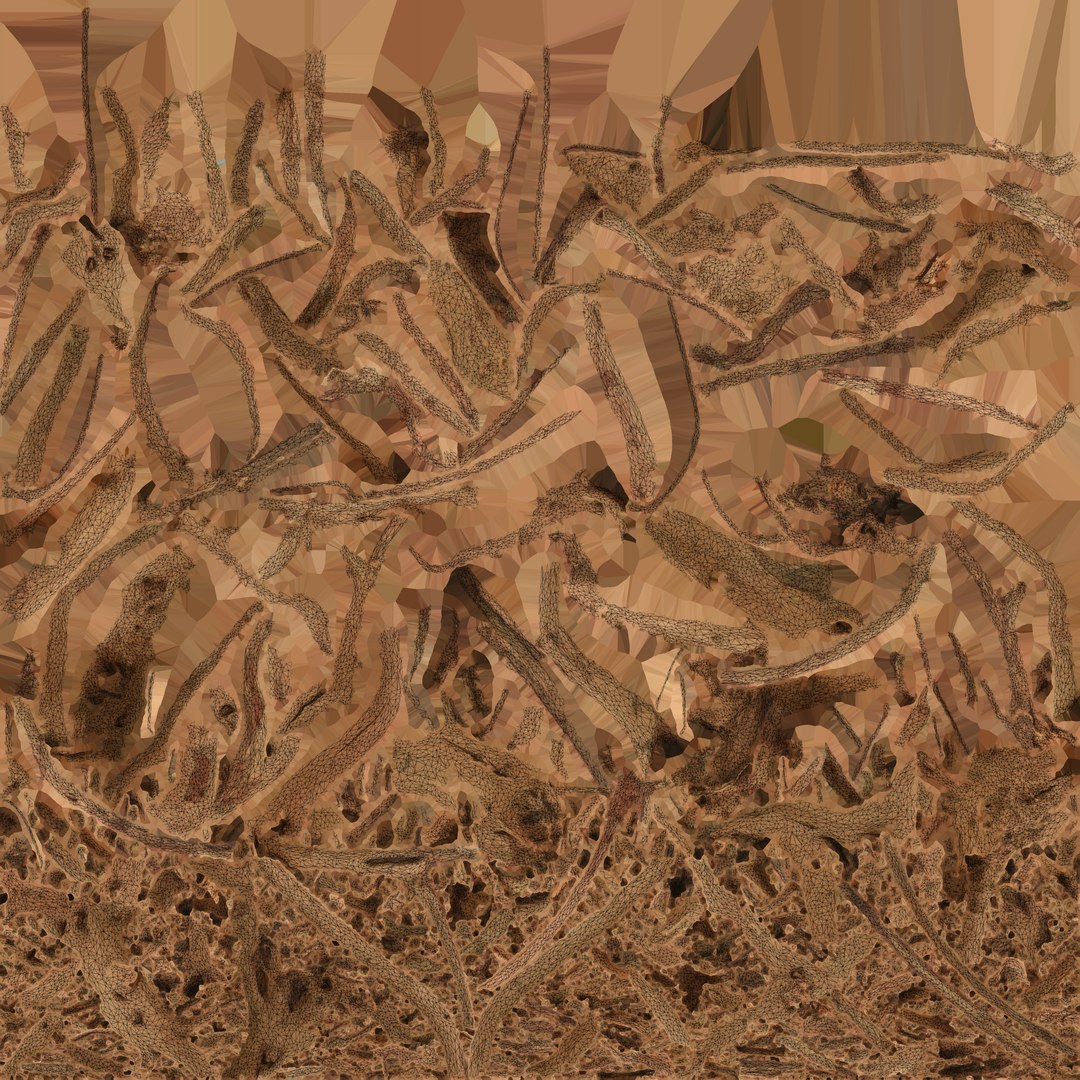 3D Tree Root - TurboSquid 1695164