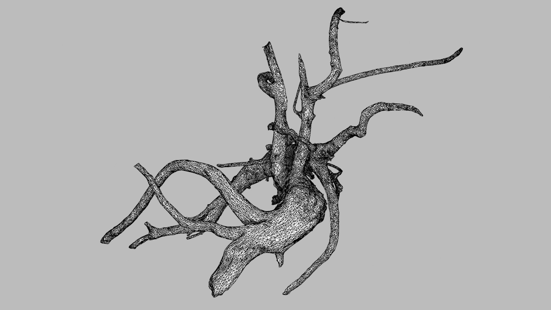 3D Tree Root - TurboSquid 1695164