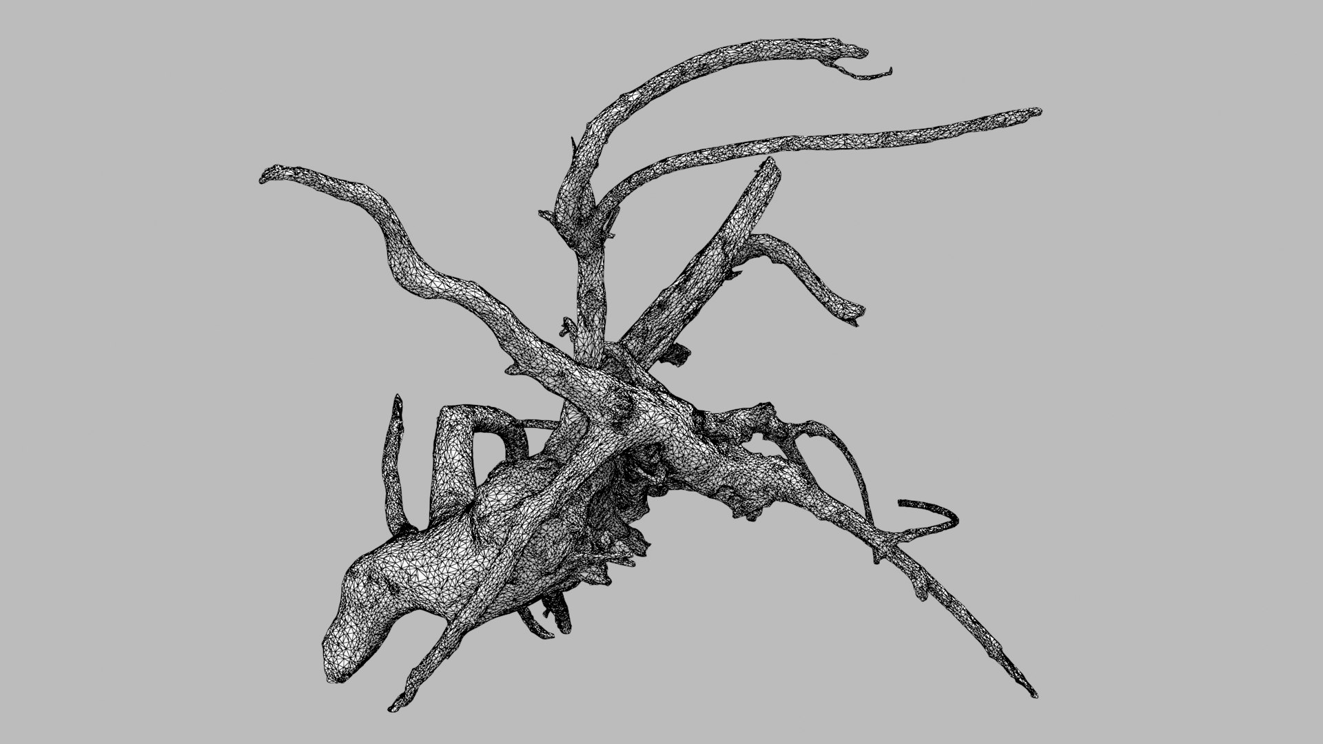 3D Tree Root - TurboSquid 1695164
