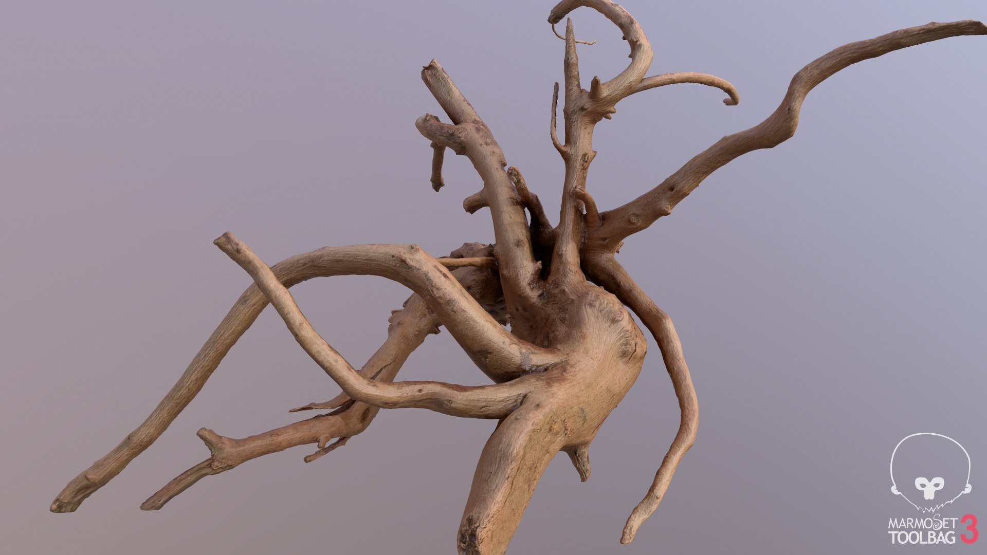 3D Tree Root - TurboSquid 1695164