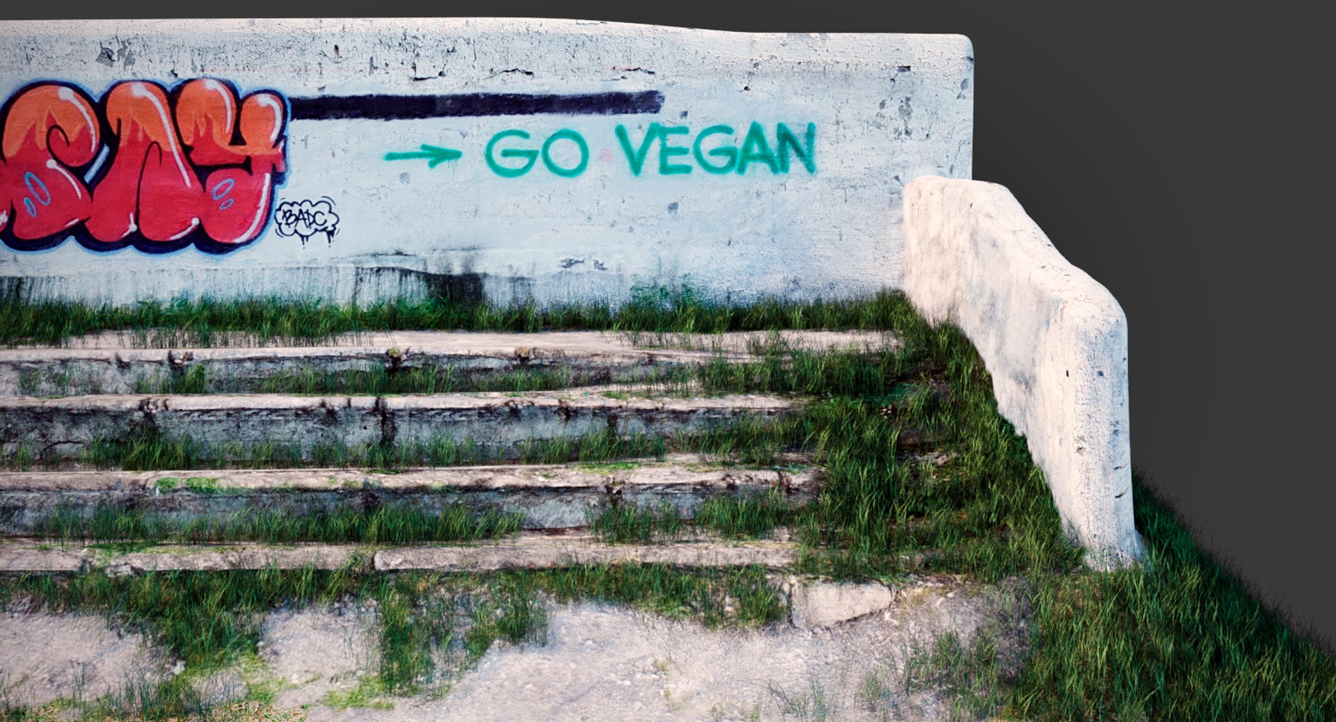 Max Graffiti Stadium Tribune