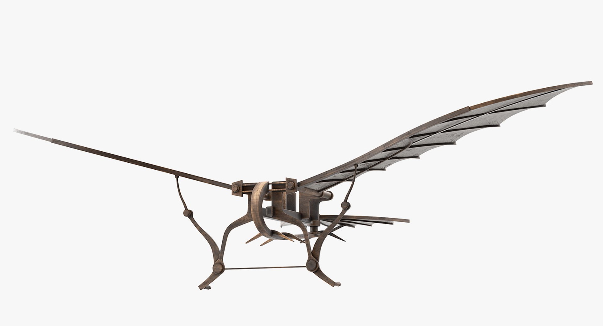 3D Leonardo Da Vinci Glider Model - TurboSquid 1423785