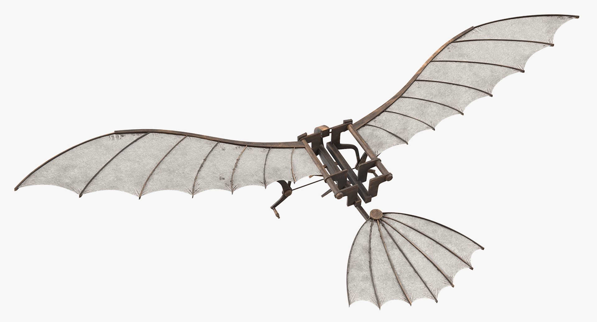 3D Leonardo Da Vinci Glider Model - TurboSquid 1423785