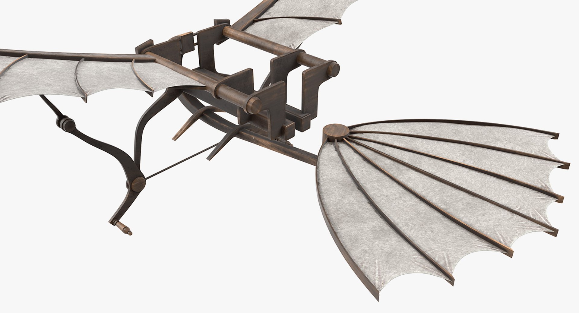 3D Leonardo Da Vinci Glider Model - TurboSquid 1423785