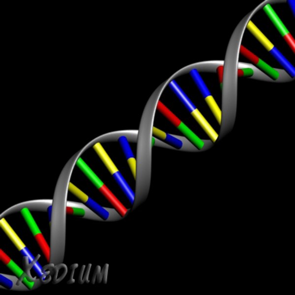 3D dna triangular model - TurboSquid 1383393
