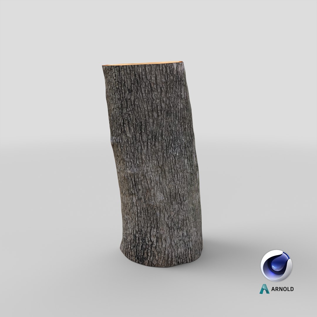 3D model Log V2 - TurboSquid 2110324