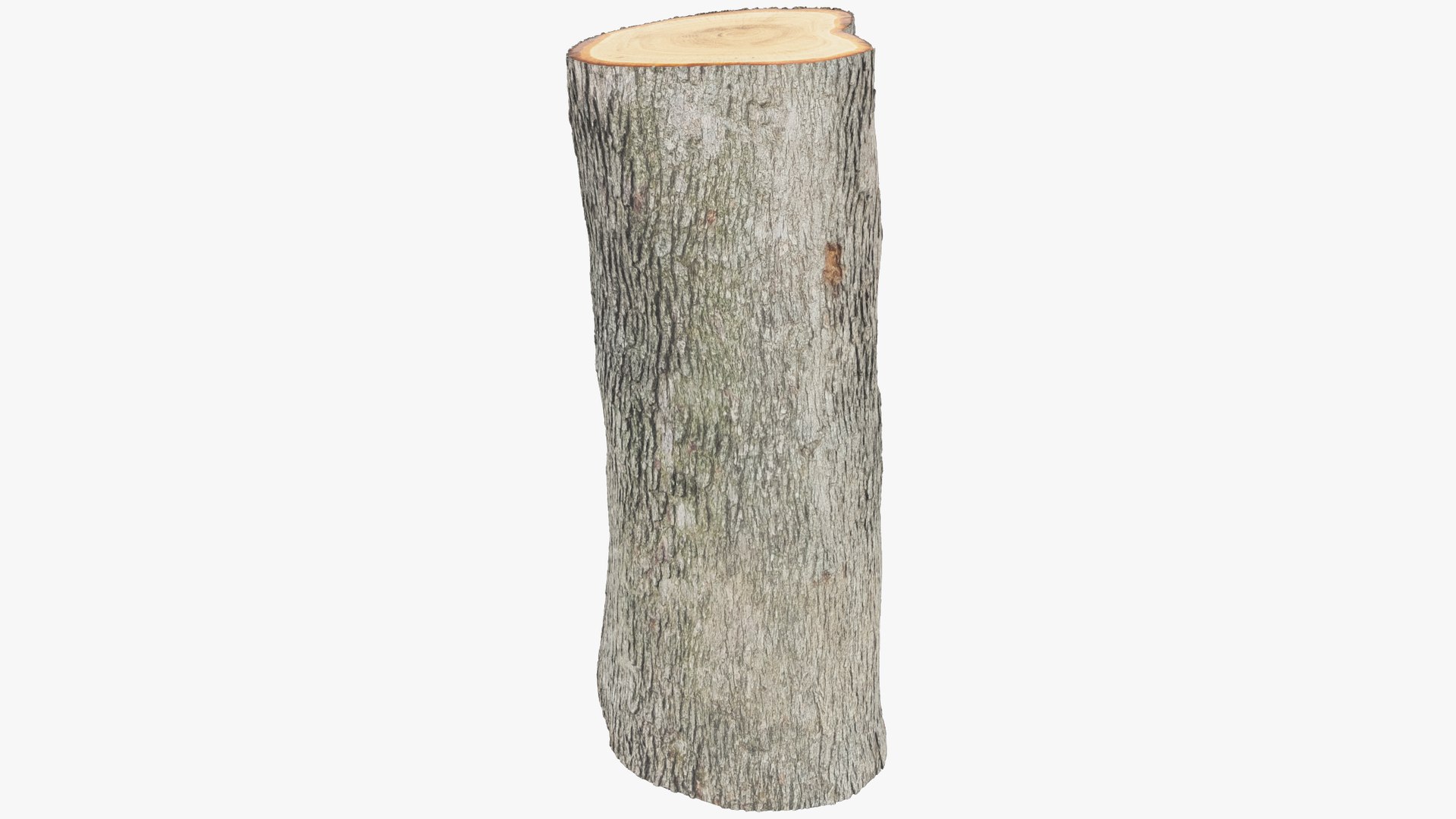 3D Model Log V2 - TurboSquid 2110324