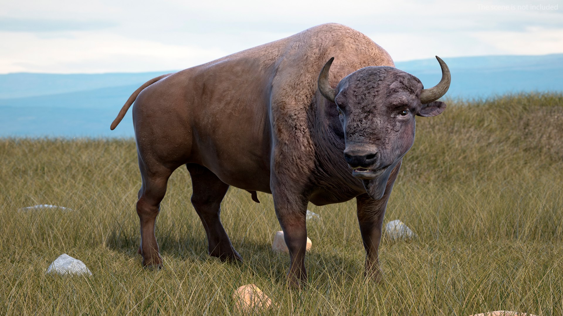 3D American Bison Rigged For Maya - TurboSquid 2267442