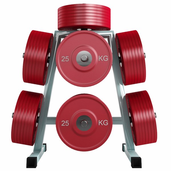 Rod disc storage rack 3D model - TurboSquid 1940344