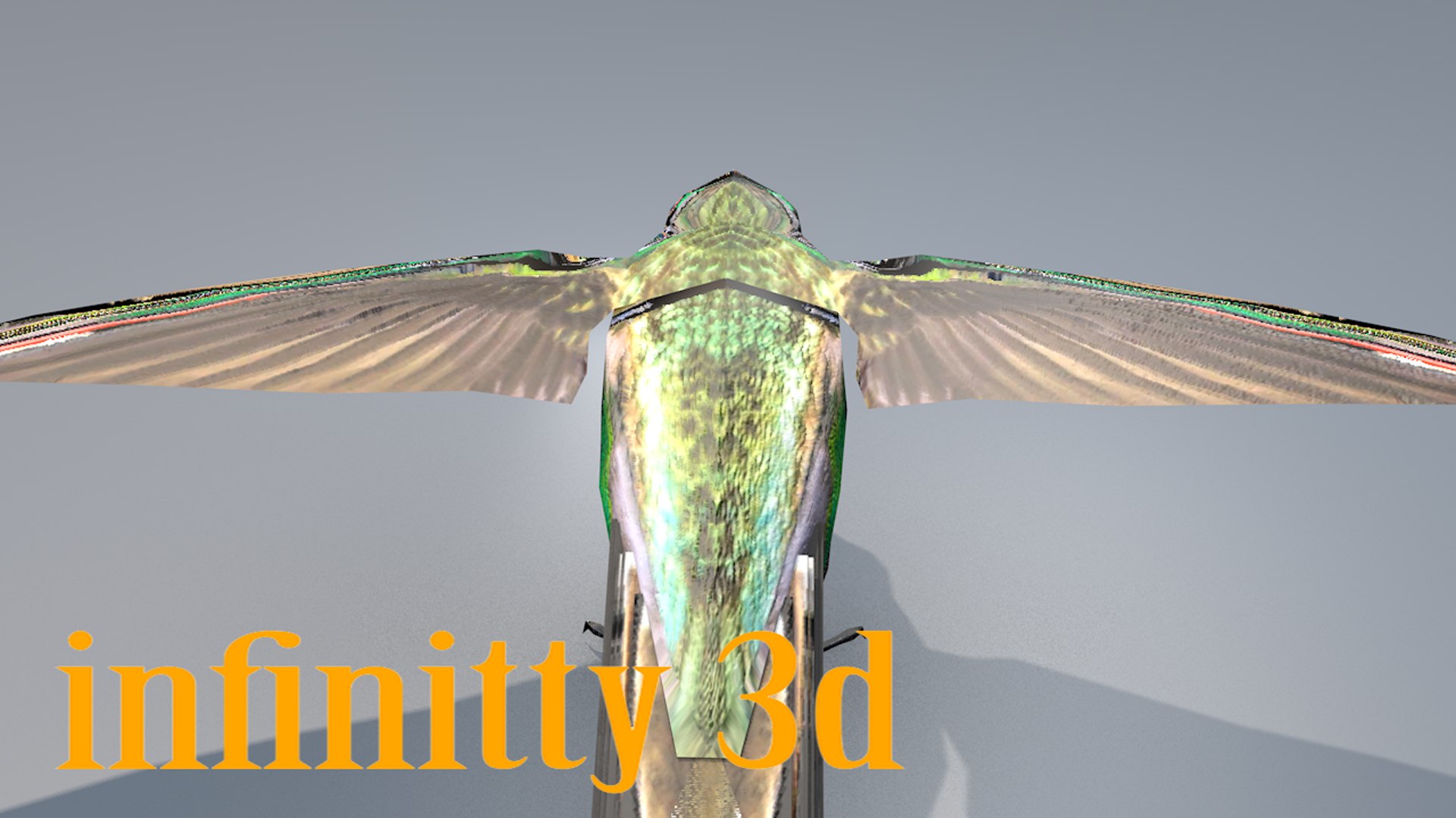 3D Hummingbird model - TurboSquid 2155552