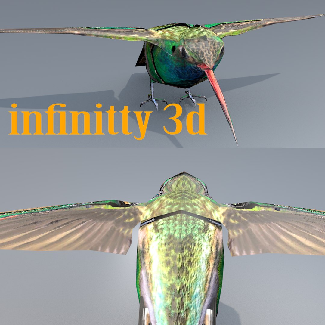3D Hummingbird model - TurboSquid 2155552
