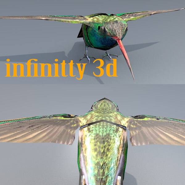 modelo 3d colibrí - TurboSquid 2155552