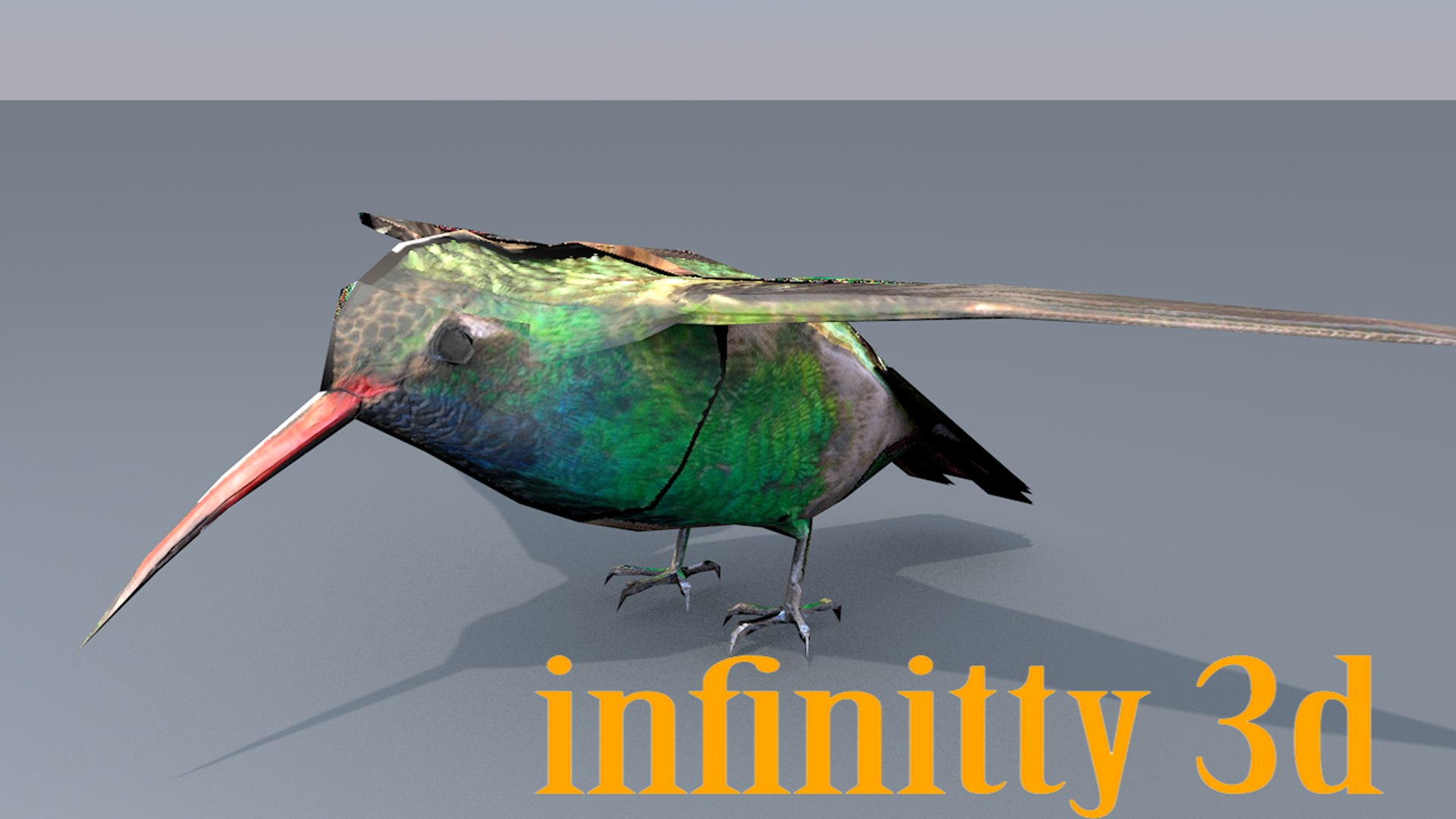 3D Hummingbird model - TurboSquid 2155552