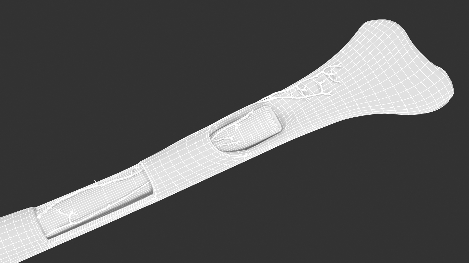 3D human bone marrow anatomy model - TurboSquid 1654163