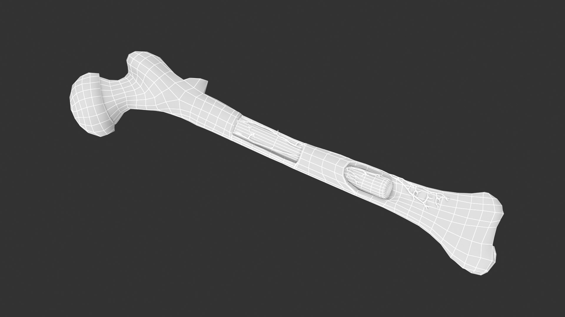 3D Human Bone Marrow Anatomy Model - TurboSquid 1654163