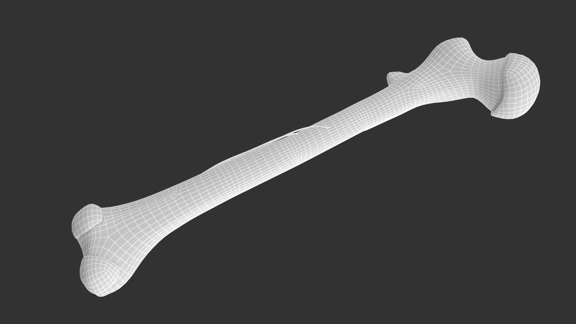 3D Human Bone Marrow Anatomy Model - TurboSquid 1654163