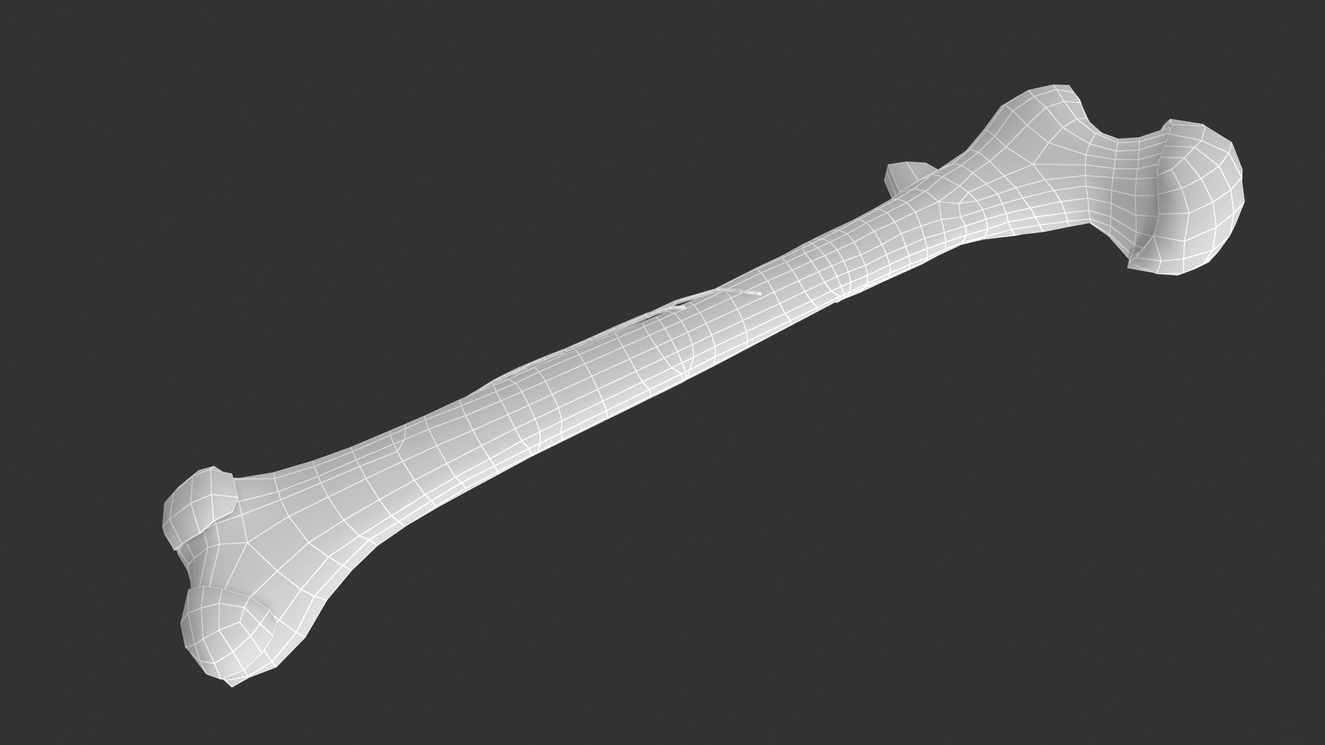 3D Human Bone Marrow Anatomy Model - TurboSquid 1654163