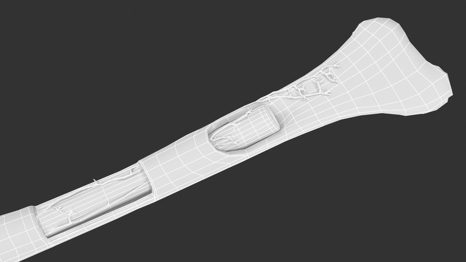 3D Human Bone Marrow Anatomy Model - TurboSquid 1654163